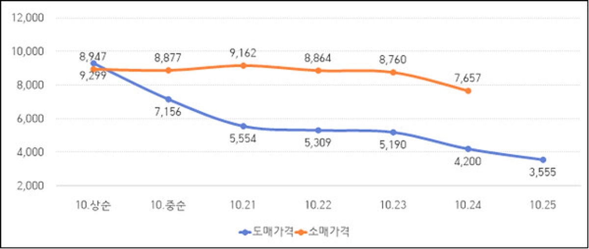 배추 가격 하락세 뚜렷